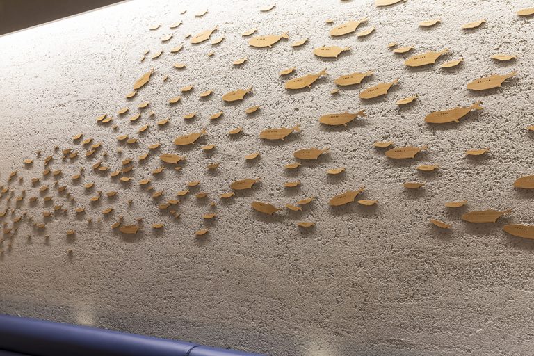 Contemporary - Satori Walls